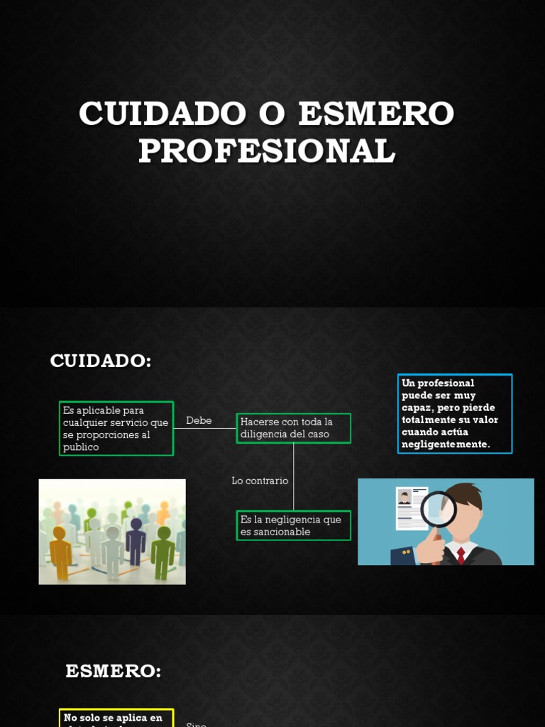 Cuidado y Esmero Profesional en Auditoría | PDF
