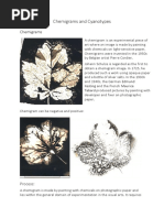 Cyanotype Process Worksheet Guide | PDF | Art Media | Vision