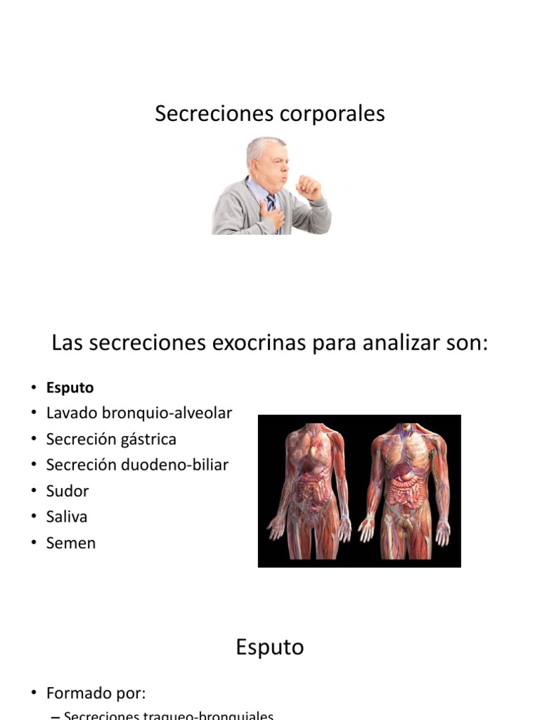 Tipos y Análisis de Secreciones Corporales | PDF | Especialidades ...