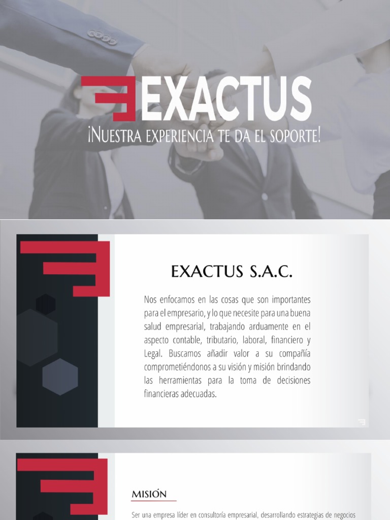 Exactus Sac | PDF | Contabilidad | Auditoría
