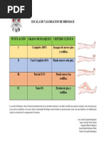 Escala de Bromage | PDF