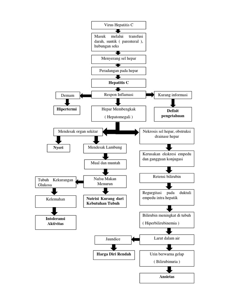 Woc Hepatitis C | PDF