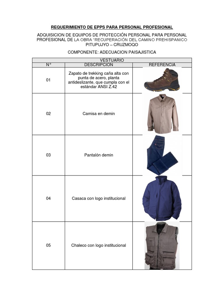 Requerimiento de Epps para Personal Profesional | PDF