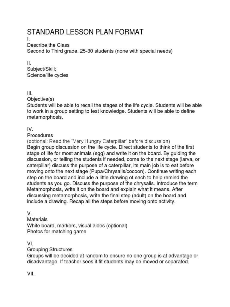 Standard Lesson Plan Format | PDF