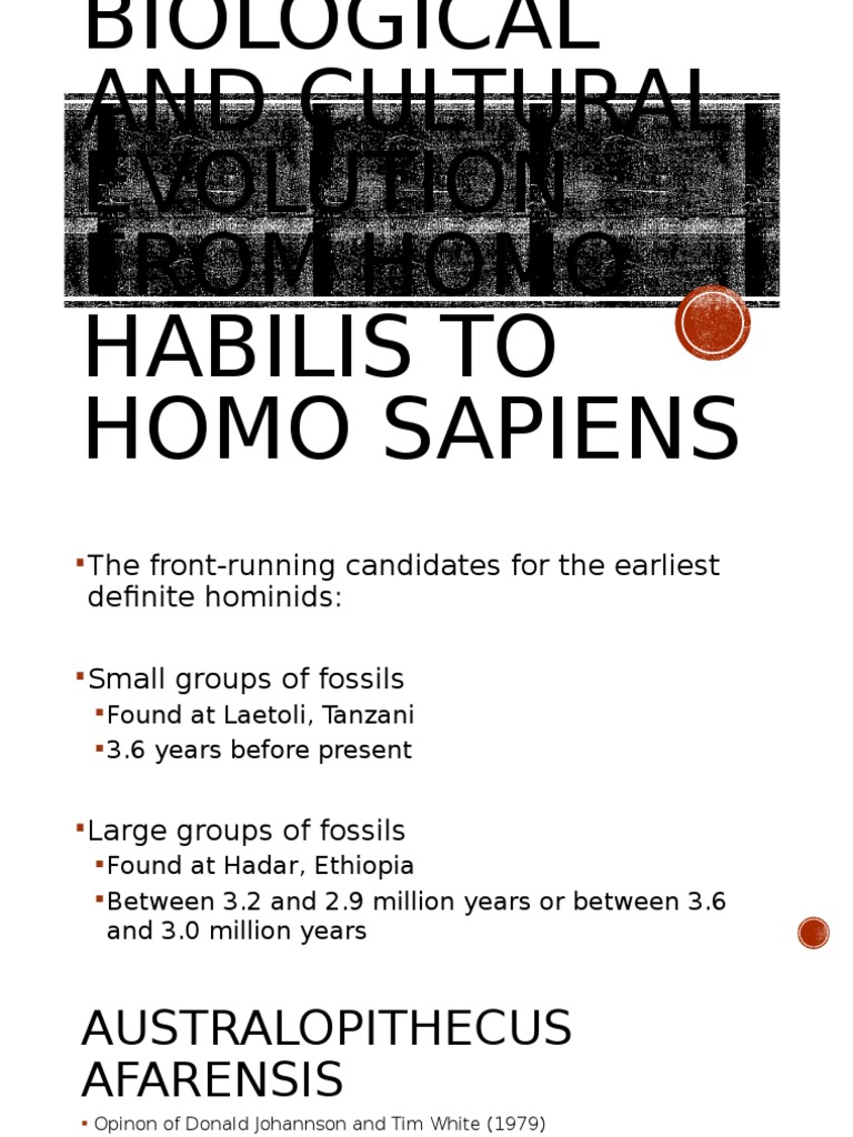Biological and Cultural Evolution From Homo Habilis To | PDF | Homo ...