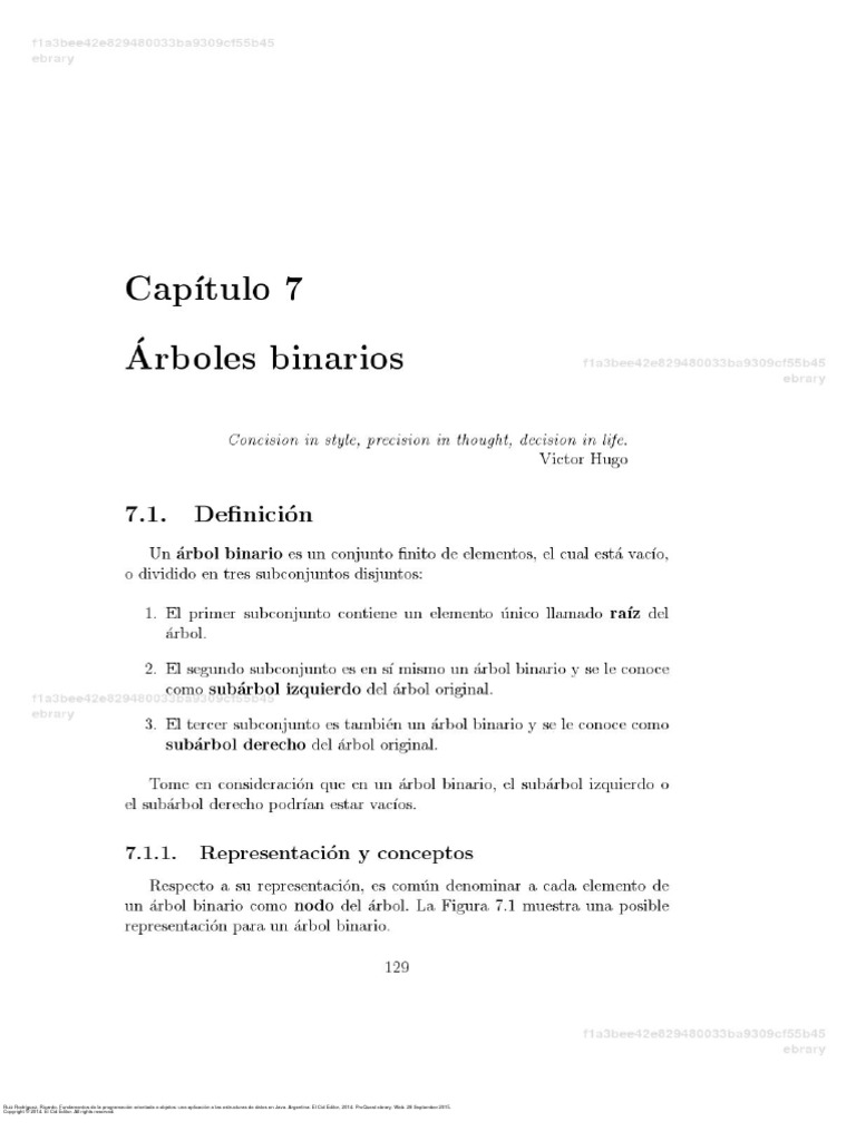 Fundamentos de La Programaci N Orientada A Objetos Una Aplicaci N A Las Estructuras de Datos en ...