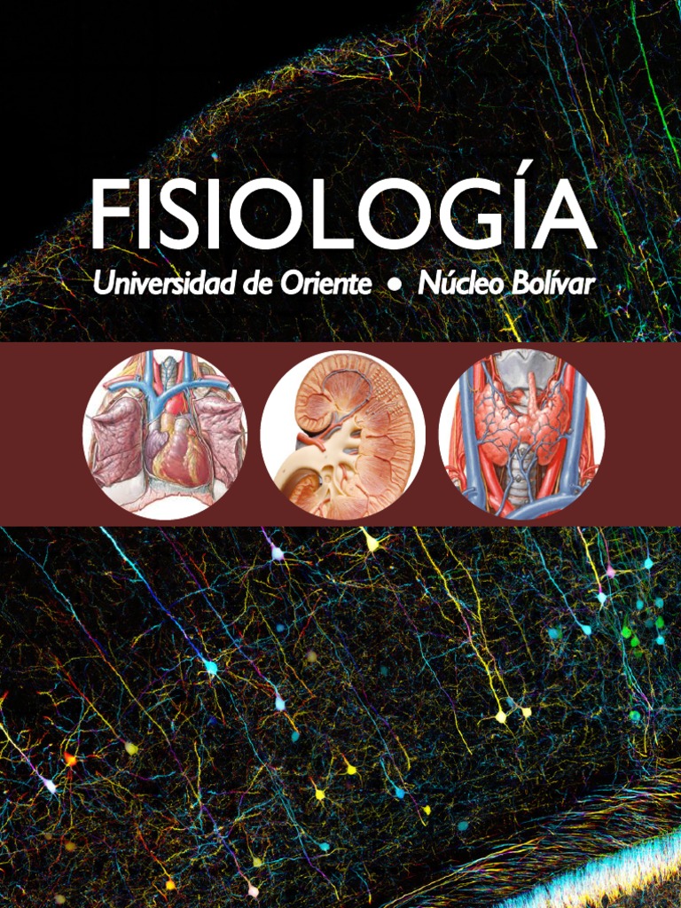Guía de Neurofisiología | PDF | Potencial de acción | Neurona