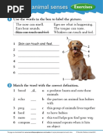 Activity Sheet Where Do Plants Live | PDF | Plants | Habitat