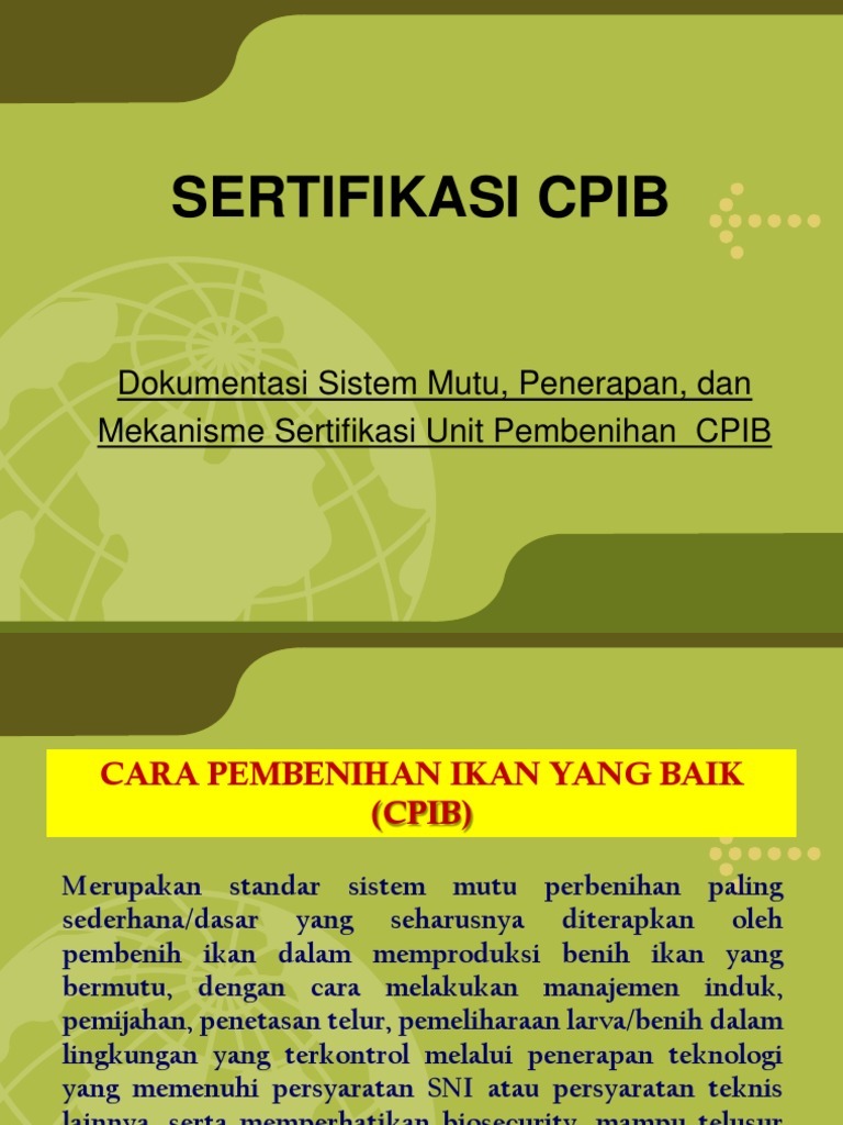 Cpib | PDF
