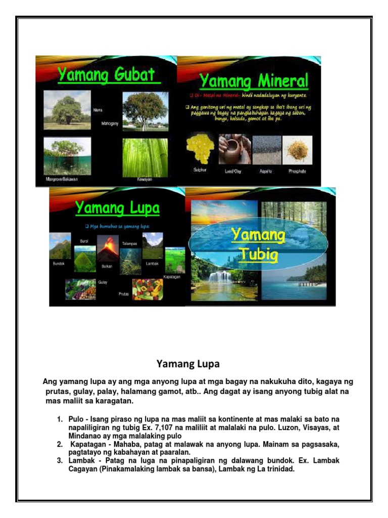 Yamang Gubat Sa Pilipinas