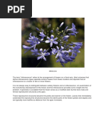 Leaf Arrangements | PDF | Root | Branches Of Botany