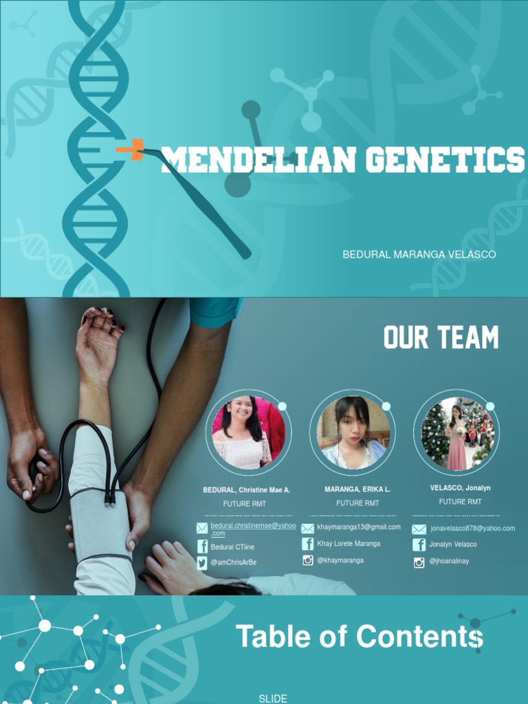 Mitochondrial Inheritance | PDF | Dominance (Genetics) | Mitochondrion