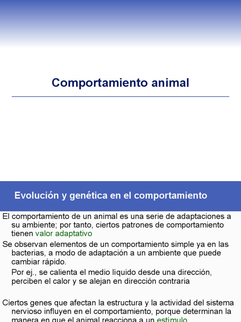 Comportamiento animal