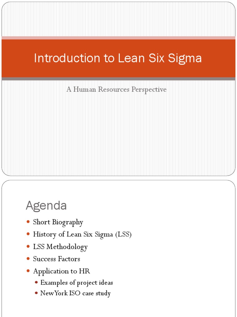 Introduction To Lean Six Sigma: A Human Resources Perspective | Download Free PDF | Six Sigma ...