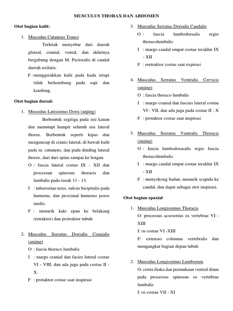 Origo dan Insersio Otot Thoraks | PDF