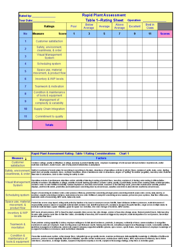 Rapid Plant Assessment Template | PDF | Inventory | Employment