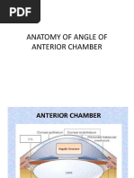 Tangent Screen Visual Field Testing | PDF | Retina | Color