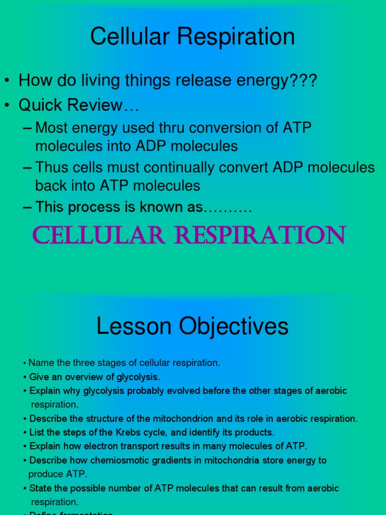 Powering The Cell-Cellular Respiration | PDF | Cellular Respiration ...