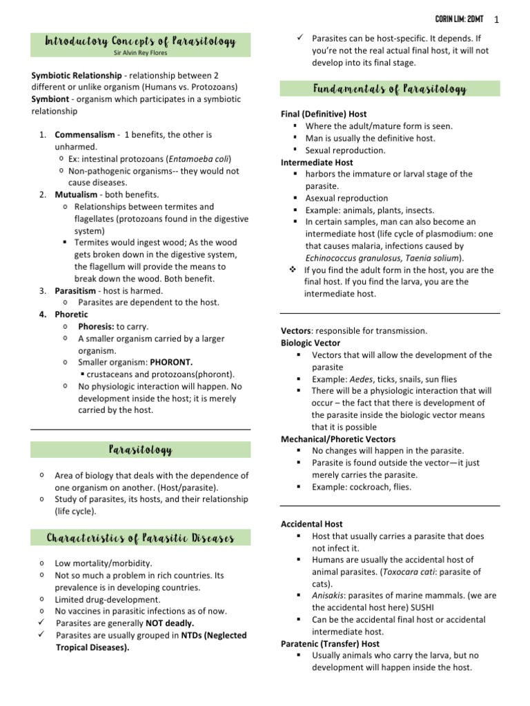 Sir Alvin Rey Flores: Echinococcus Granulosus, Taenia Solium) | PDF ...