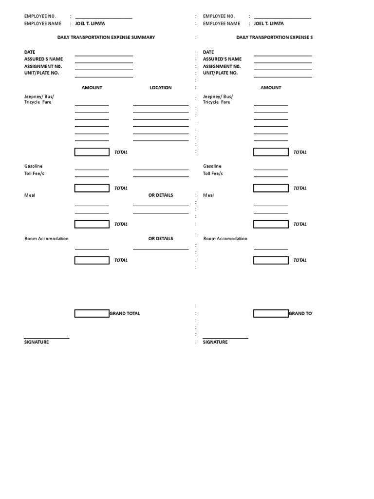 Daily Transportation Expense | PDF | Meal | Land Transport