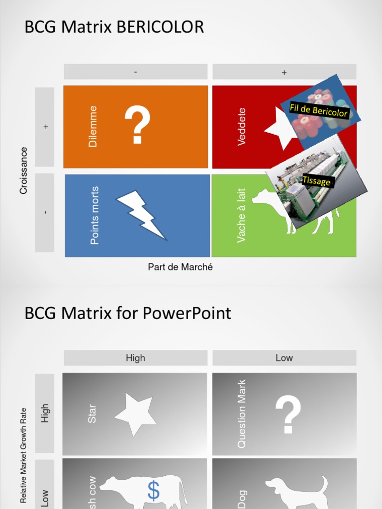 BCG Matrix Bericolor: Part de Marché | PDF