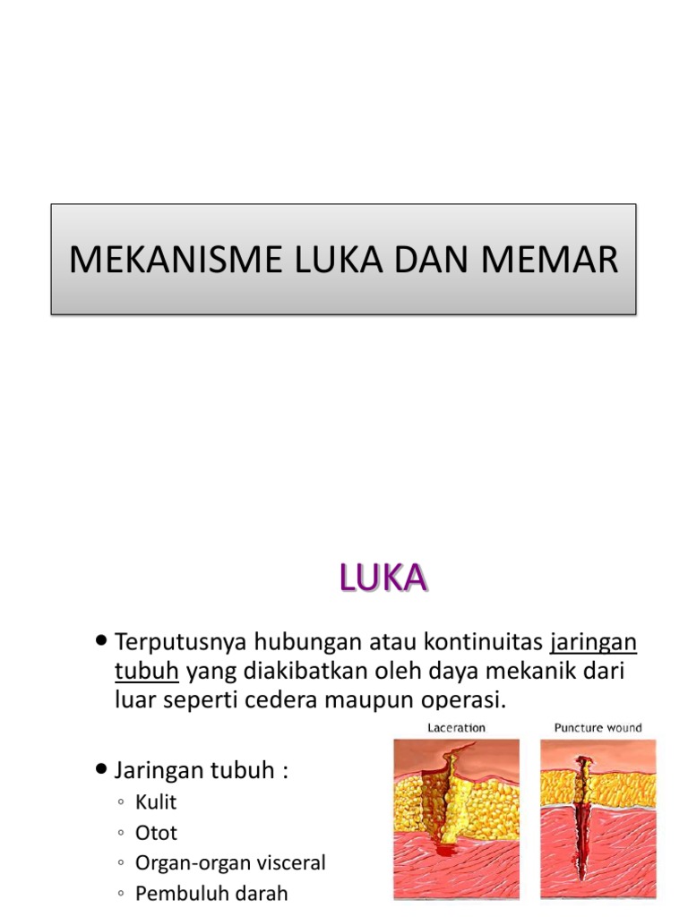 Mekanisme Terjadinya Memar dan Luka | PDF