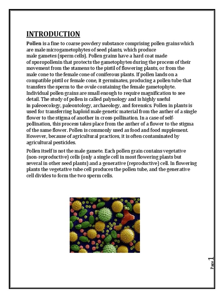 Bio Project CBSE Grade 12 Investigatory Project | PDF | Pollen ...