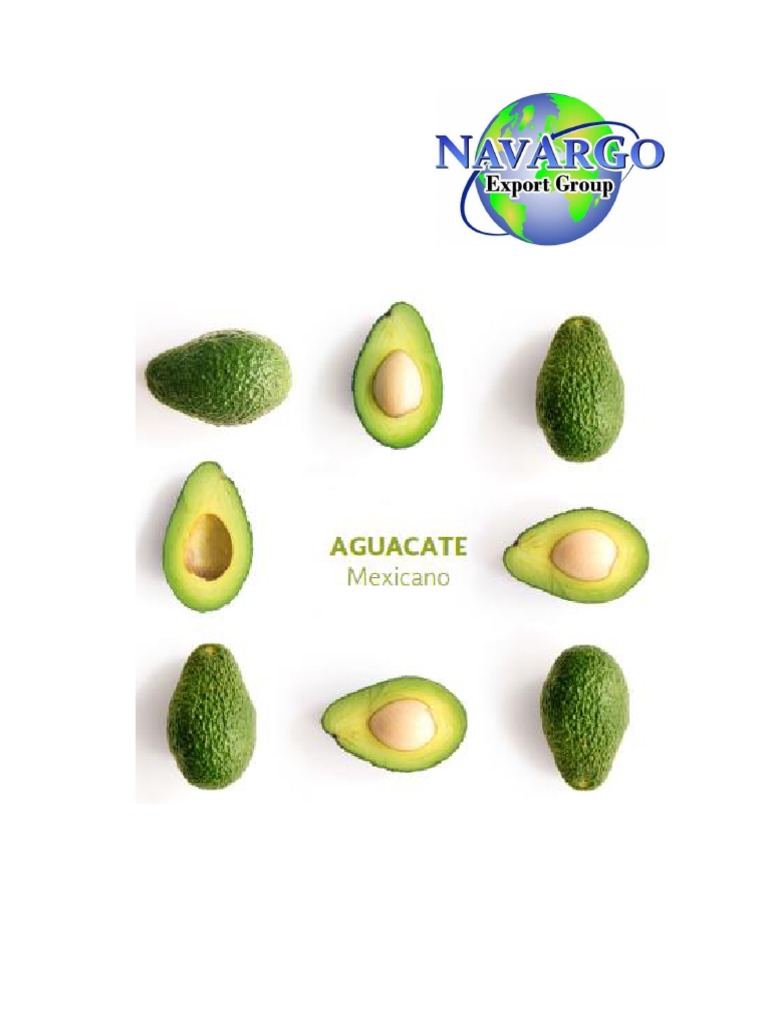 Avocado Technical Sheet | Download Free PDF | Avocado | Foods