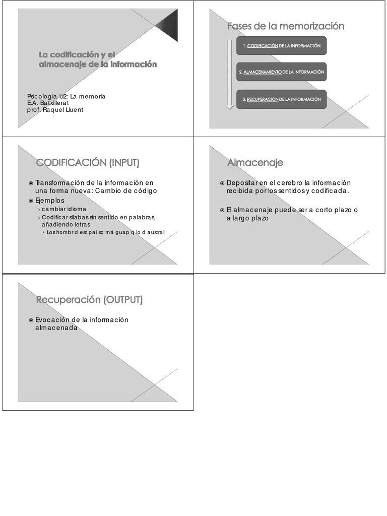 4 Codificación y Almacenaje Info | PDF | Procesos mentales | Ciencia ...