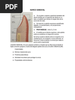 Amelogénesis y Ciclo Vital Del Ameloblasto | PDF | Esmalte de dientes ...