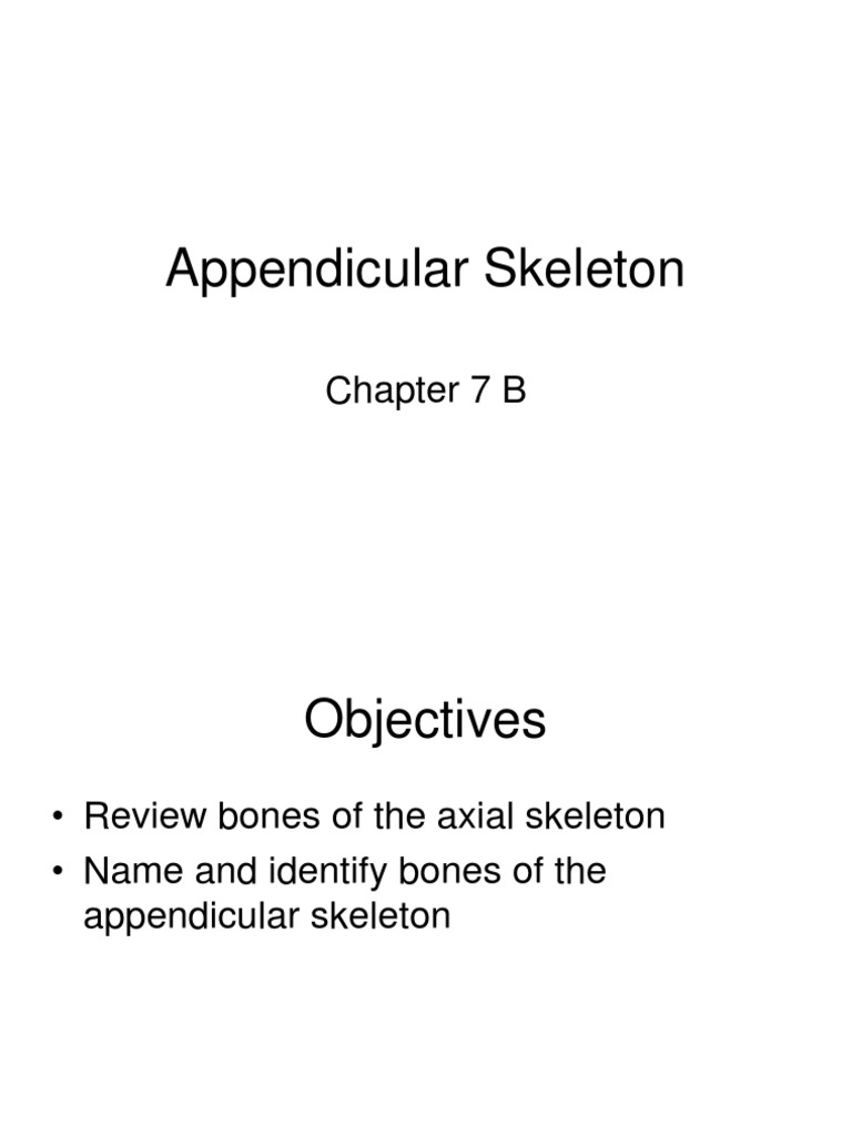 Chapter 7 B Appendicular Skeleton Download Free Pdf Foot Hand