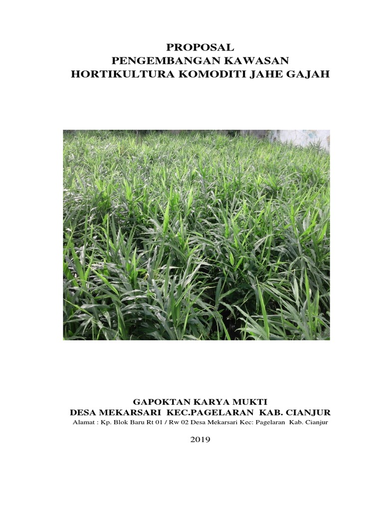 Proposal Jahe Gajah | PDF