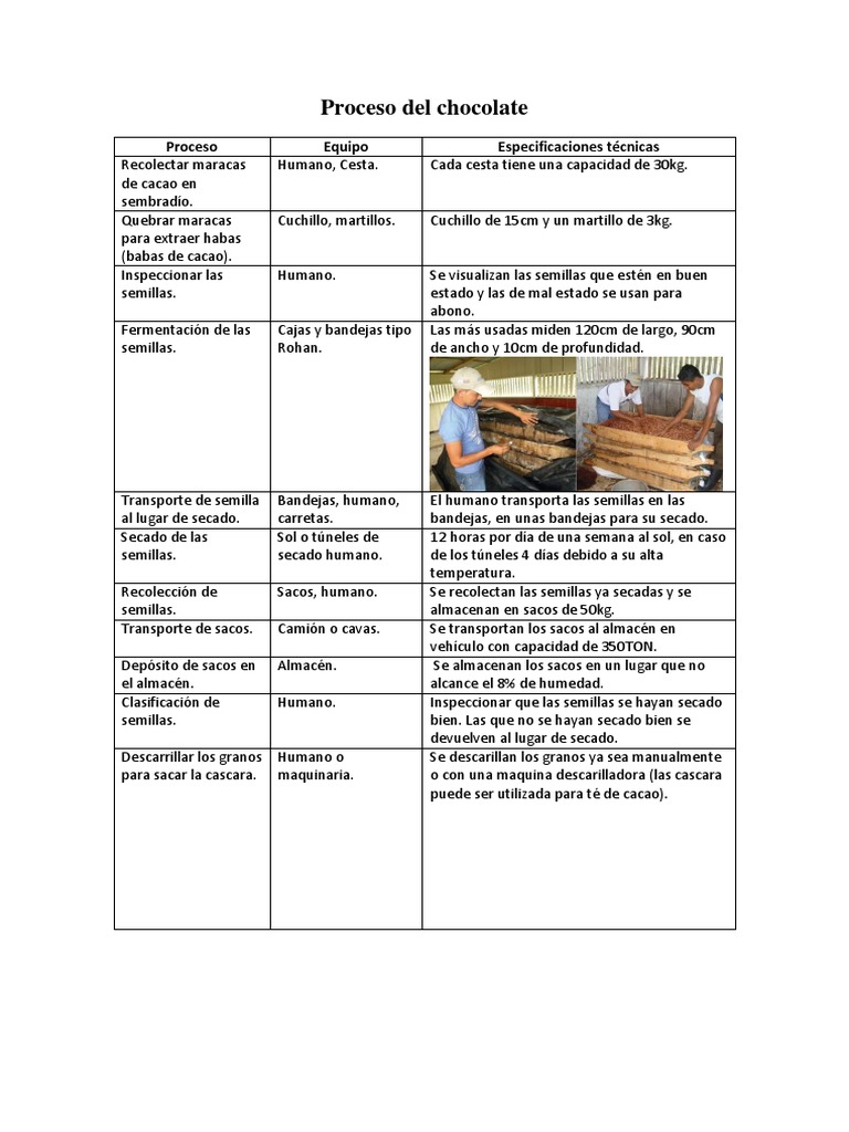 Proceso Del Cacao | PDF | Chocolate | Alimentos