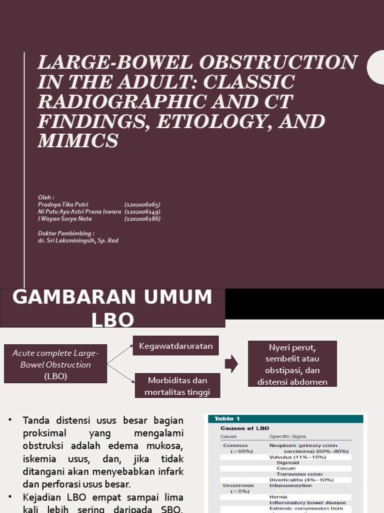 Temuan Radiologi pada LBO Dewasa | PDF