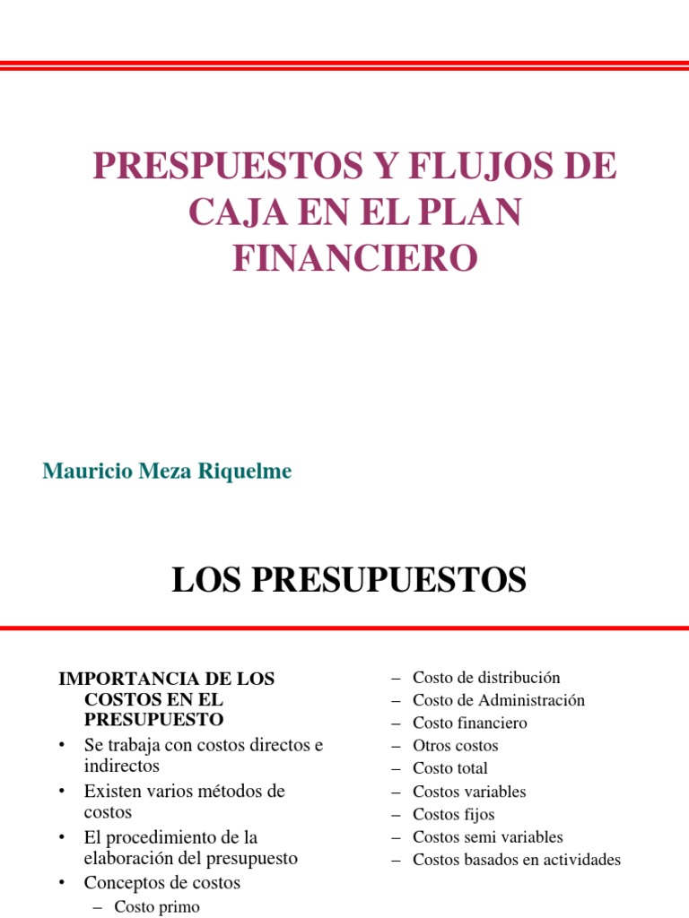 Presupuesto y Flujos de Caja 2019 | PDF | Costo | Presupuesto