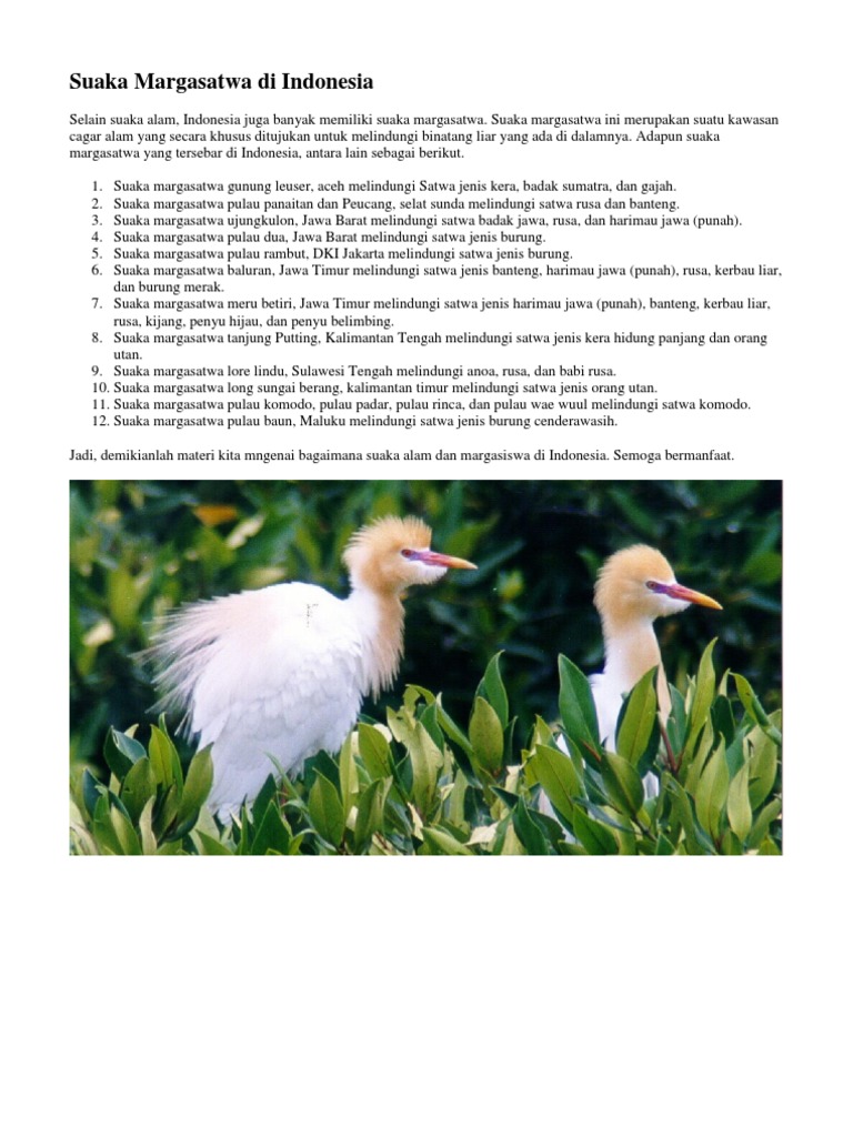 Suaka Margasatwa Di Indonesia | PDF