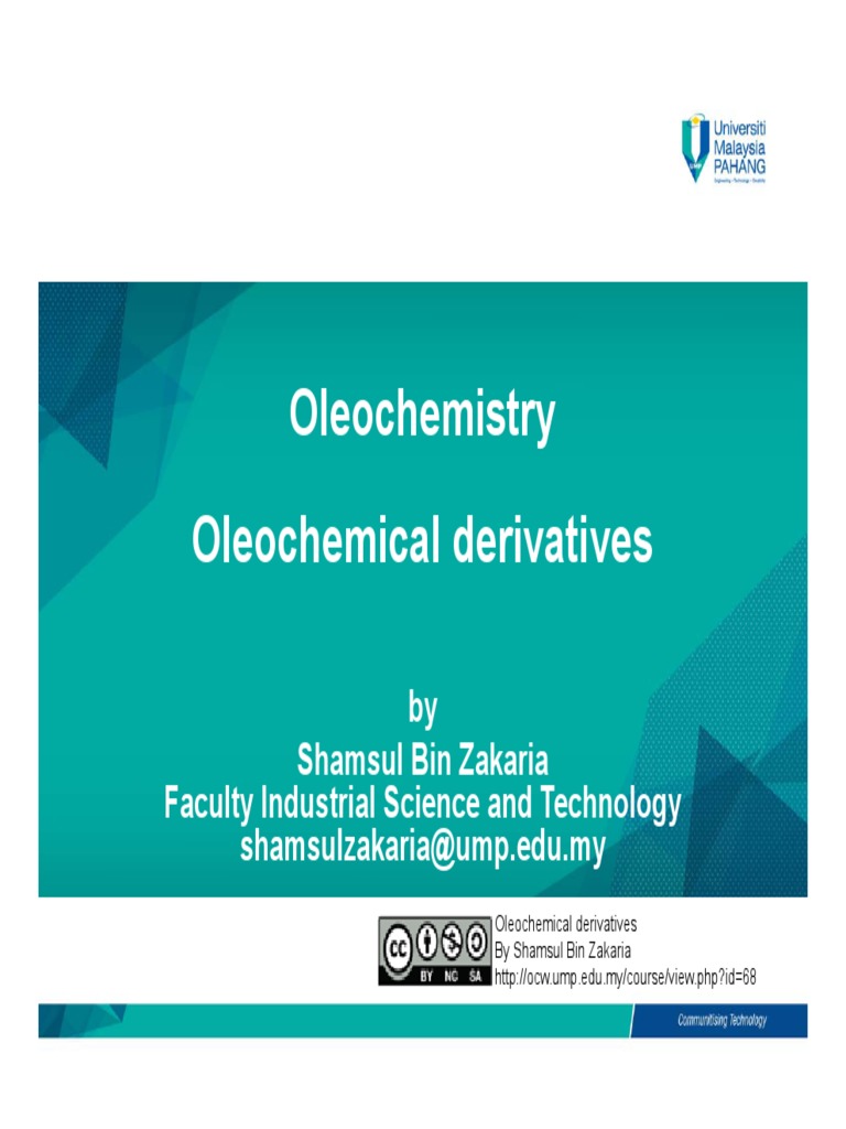 An In-Depth Analysis of Oleochemical Derivatives and Their Production ...