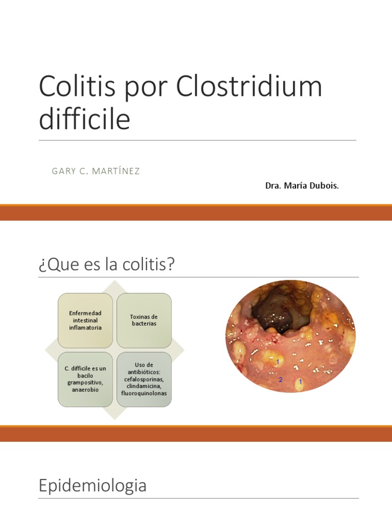 Colitis Por Clostridium Difficile | Diarrea | Rtt