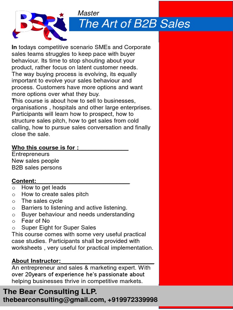 Master The Art of B2B Sales | PDF