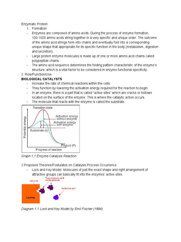 Biological Catalysts: Graph 1.1 Enzyme Catalysis Reaction | PDF ...