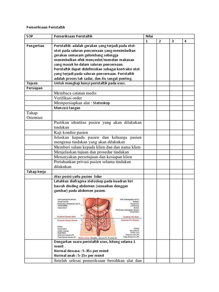 Pemeriksaan Peristaltik | PDF