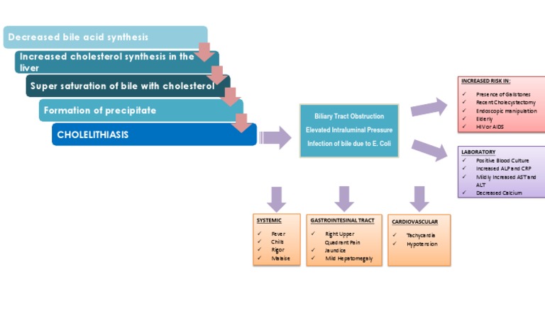 Septic Cholangitis Pathophysiology | PDF