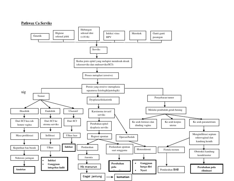 Pathway CA Serviks | PDF