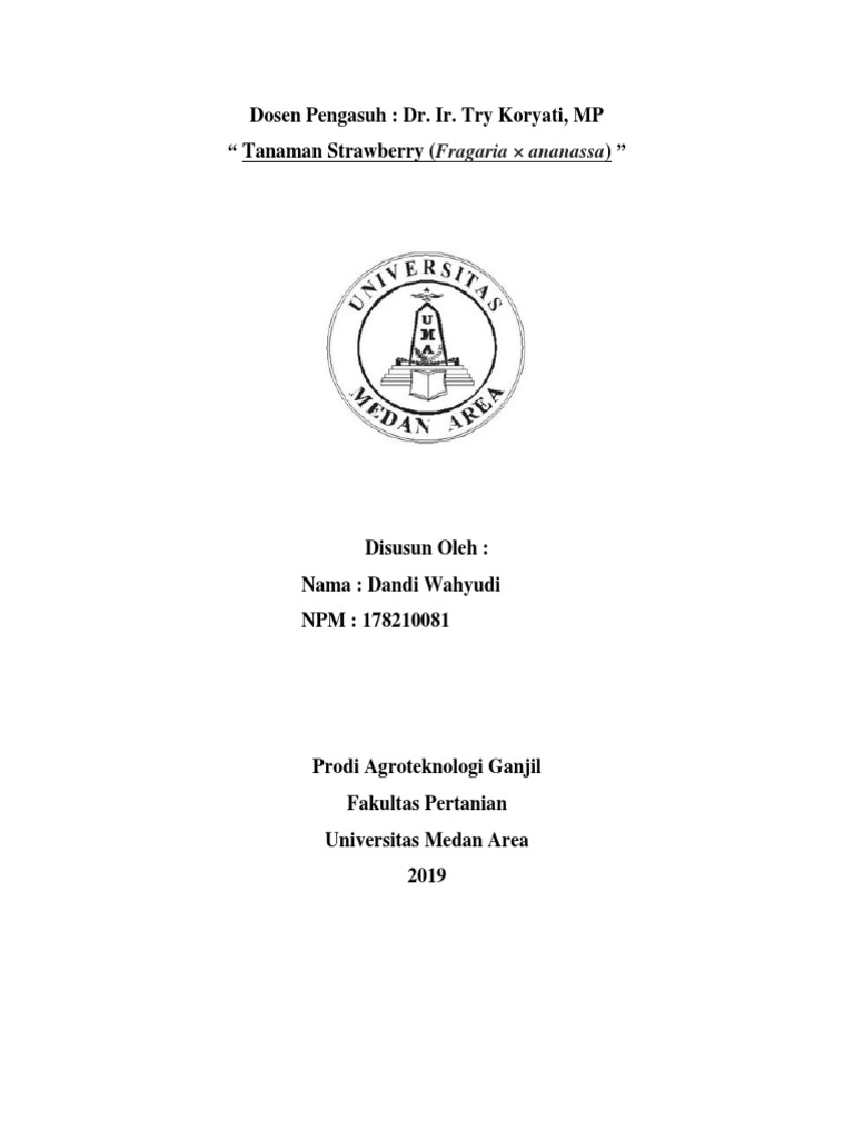 Budidaya Strobery | PDF