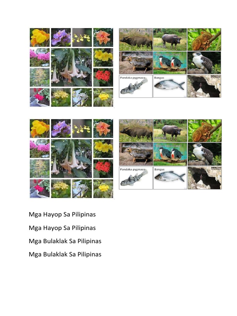 Mga Hayop Sa Pilipinas | PDF