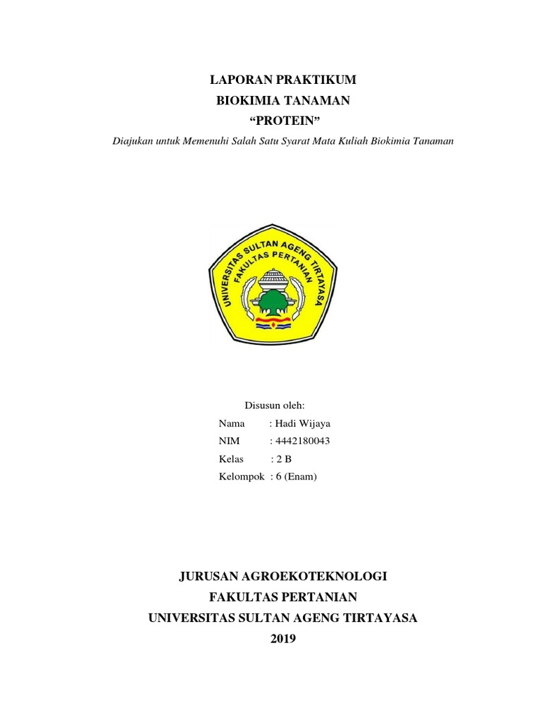 Laporan Praktikum 3 Biokimia - Protein | PDF