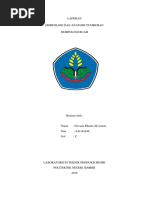 Klasifikasi Dan Morfologi Bunga Mawar | PDF | Griya & Taman