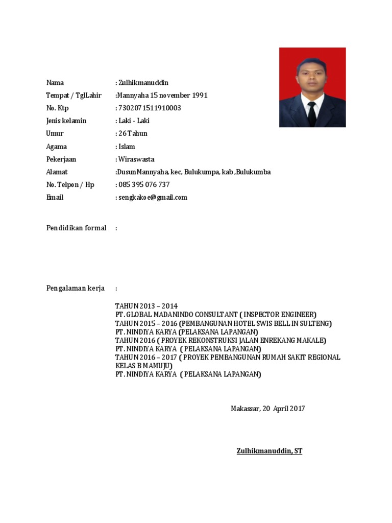 Curriculum Vitae Zul | PDF