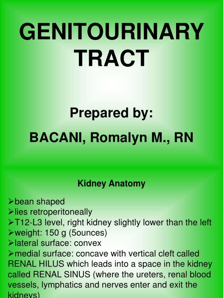 GenitoUrinary Tract Presentation | PDF | Urinary Tract Infection | Kidney