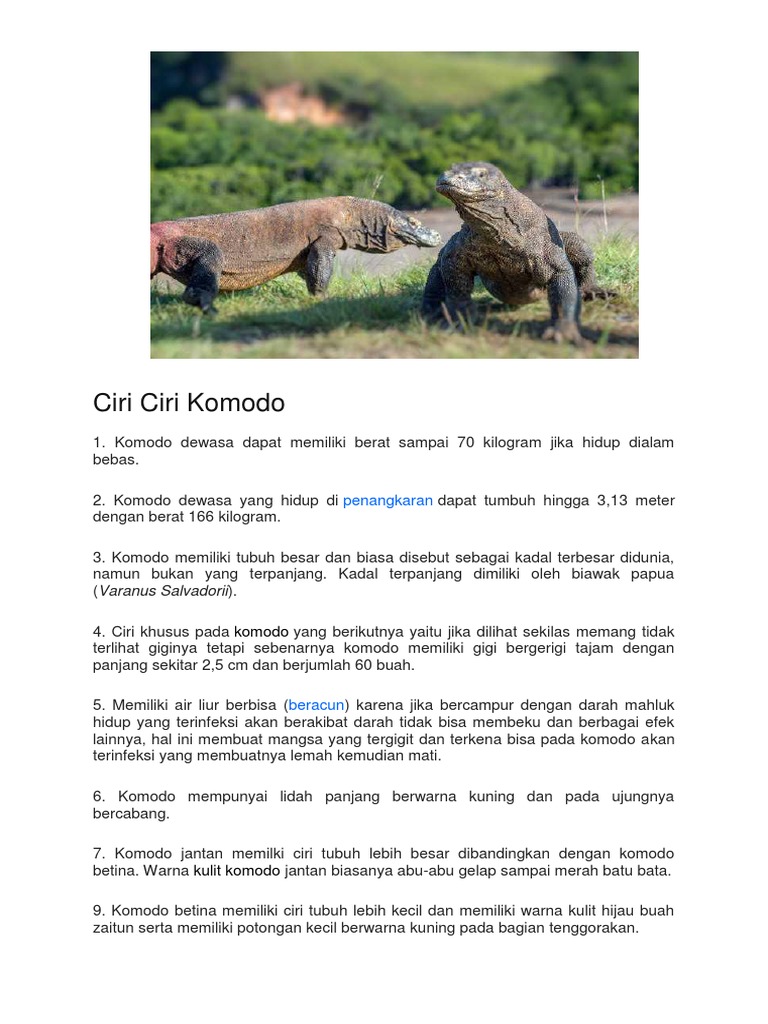 Ciri Ciri Komodo | PDF